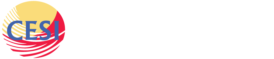 C.E.S.I. - Costruzioni Energia Servizi Impianti s.r.l.